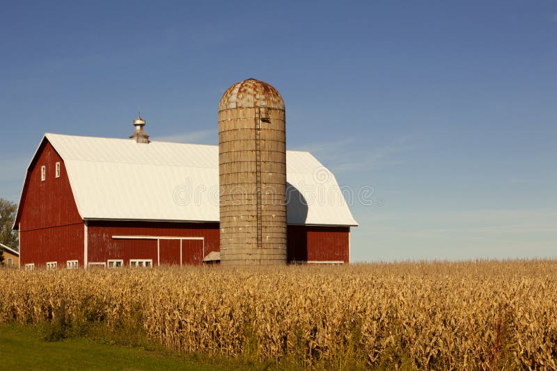 Red Barn, Silo and Corn Field Stock Photo - Image of corncob, crop ...