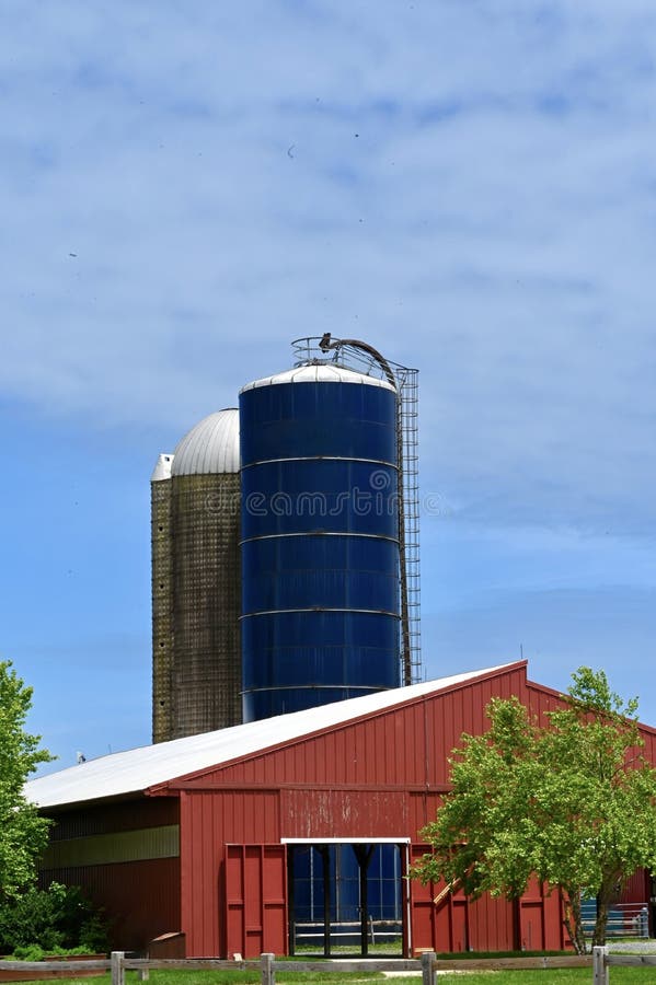 Red Barn with Silos stock photo. Image of agriculture - 248625432