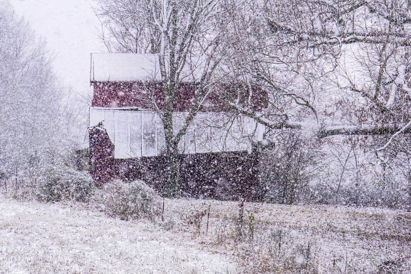 Red barn in a snow stoarm stock image. Image of live - 207058487