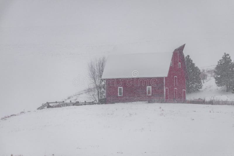 Old Barn in Snow stock photo. Image of rocks, foliage - 4824114