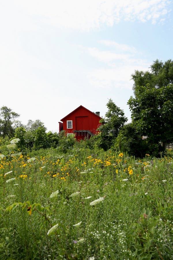 Barn in a Field stock photo. Image of building, trees - 119455068