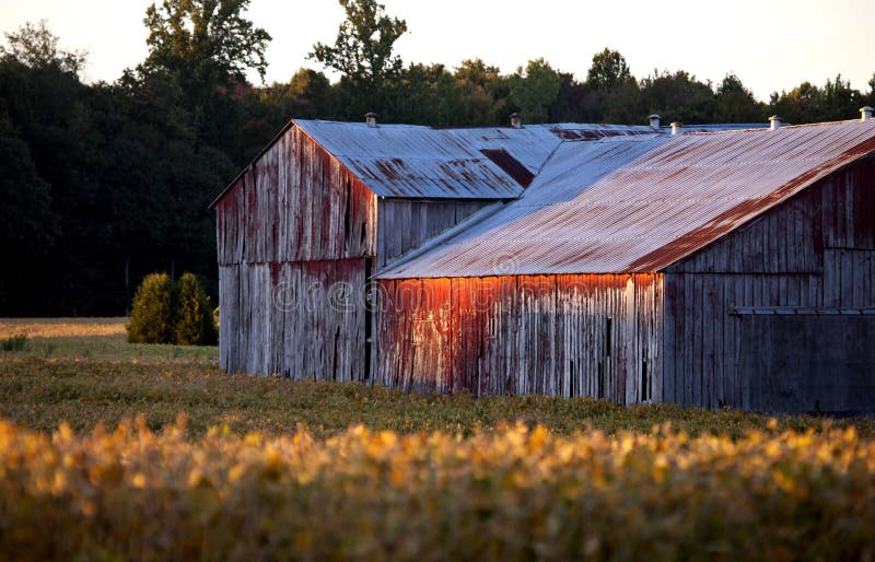 Red Barn at Sunset stock image. Image of farm, rural - 46461097