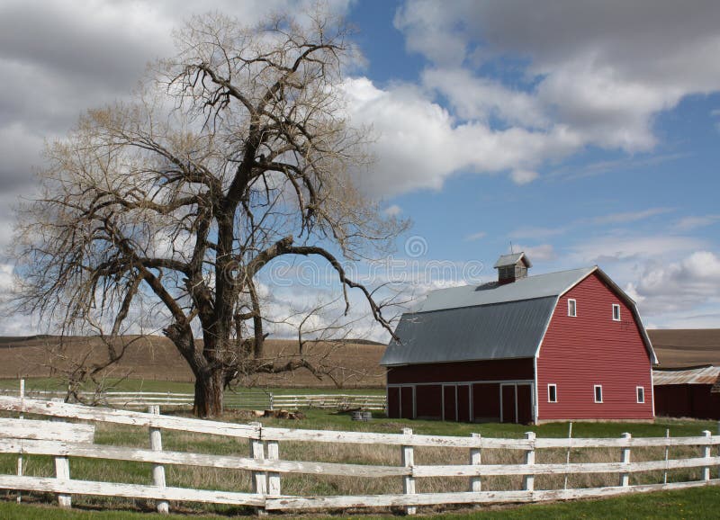 Red barn and tree stock image. Image of palouse, tree - 23182657
