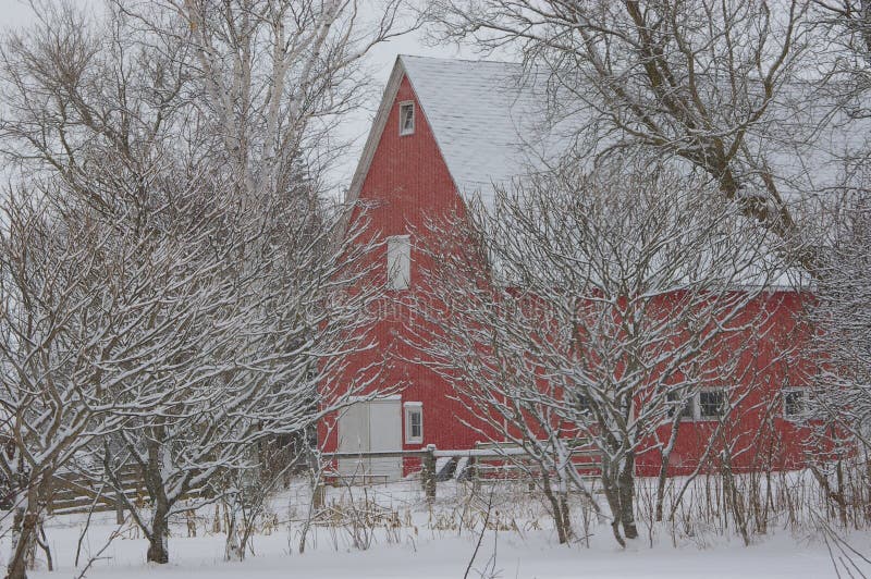 Red Barn in Winter 1 stock image. Image of farm, island - 20619363