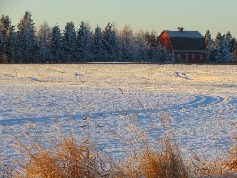 Red barn in winter stock image. Image of ground, classic - 48383177