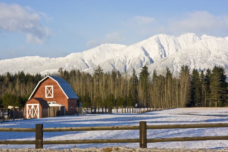 Red Barn and SNowy Mountains in Colorado Stock Image - Image of life ...