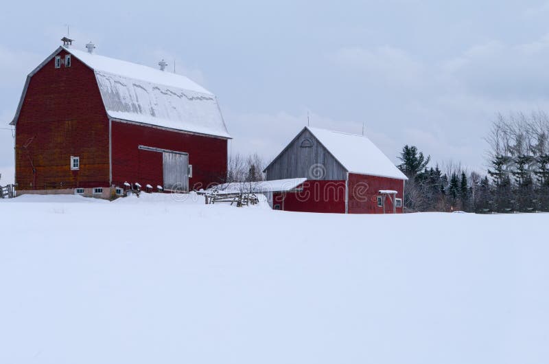 Red Barn in the winter stock photo. Image of landscape - 50674738
