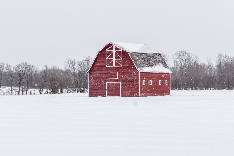 Red barn stock photo. Image of hardwood, building, animals - 71203588
