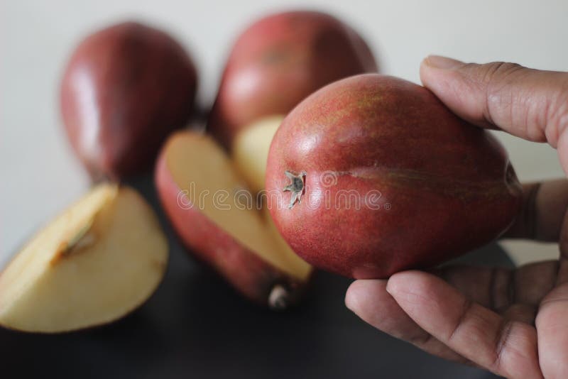 The Red Bartlett Pear Carries a True Pyriform Pear Shape. a Rounded ...