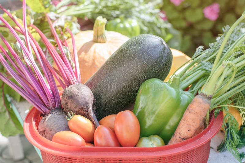 Red Basket with Different Vegetables on the Background of a Blurred ...