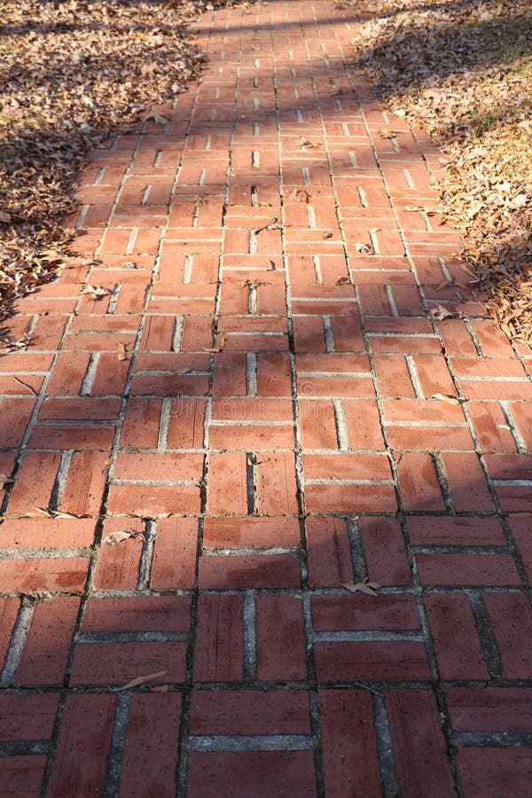 Red Basket Weave Pattern Brick Sidewalk with Shadows and Bordered by ...