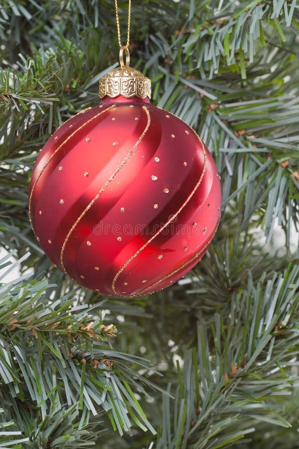 Red Bauble on Tree stock photo. Image of traditional - 21365758