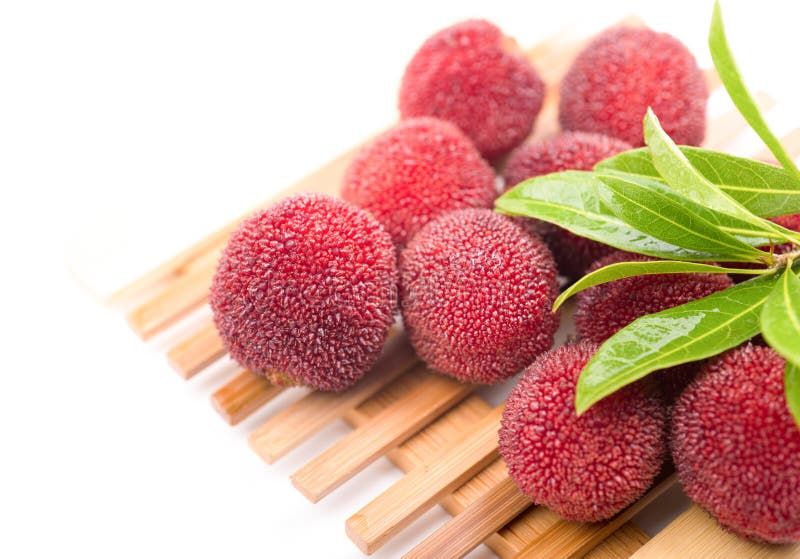 Red bayberry stock photo. Image of fruits, color, food - 100191078