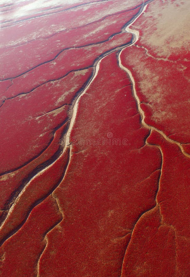 Red beach, stock image. Image of coastal, plant, scenic - 18045695