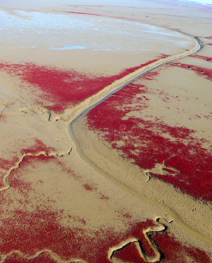 Red beach, stock photo. Image of vegetation, view, grass - 18619082