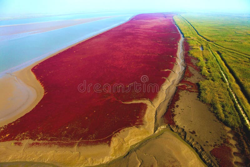 Red beach, stock image. Image of nature, grass, travel - 18665261