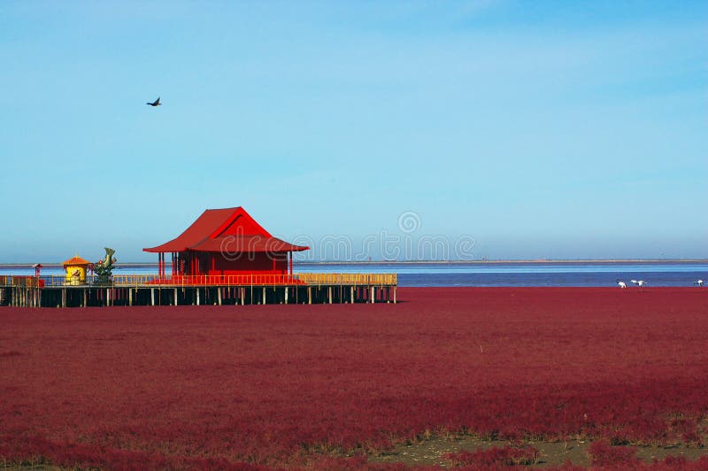 Red beach stock image. Image of architecture, liaoning - 8425797