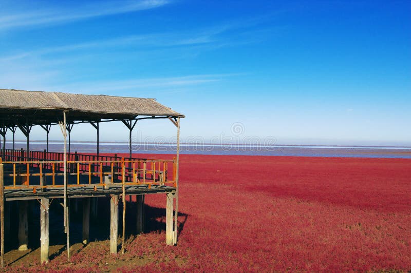 Red beach stock image. Image of roof, soil, travel, grass - 8425935