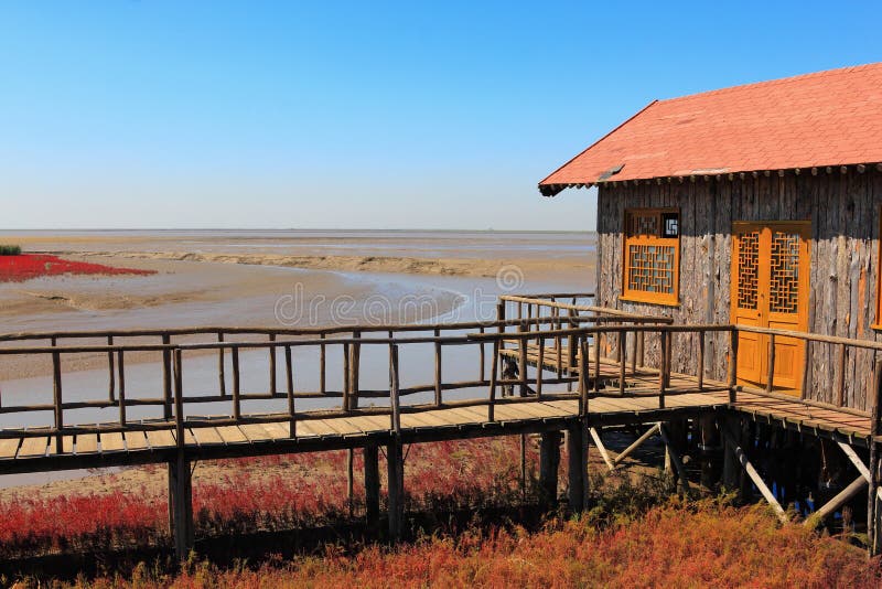 Red Beach of Panjin in China Stock Photo - Image of aisle, wood: 34820896