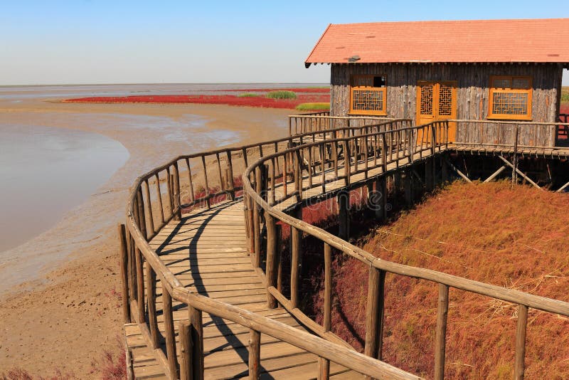Red Beach of Panjin in China Stock Image - Image of salt, porch: 34820913