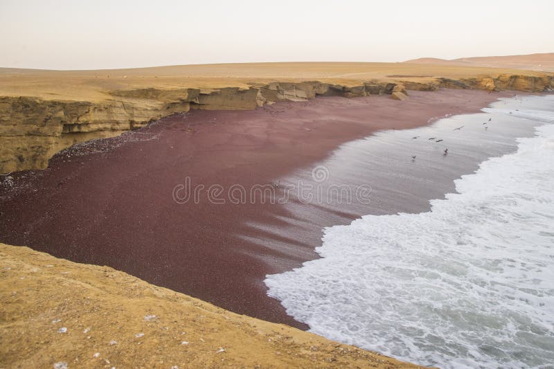 Red beach, Paracas, Peru. stock photo. Image of reservation - 89997308