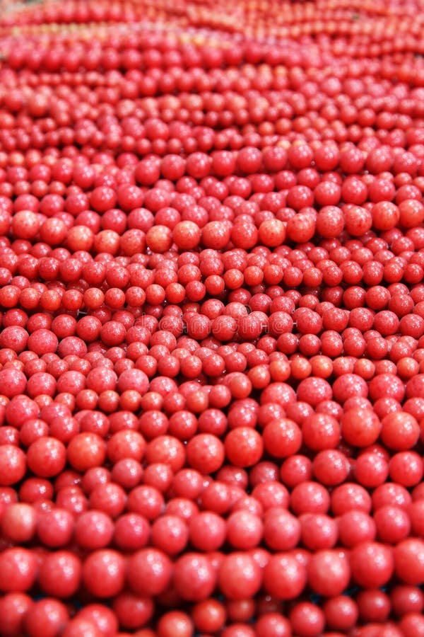 Red beads stock photo. Image of market, decoration, pink - 12128906