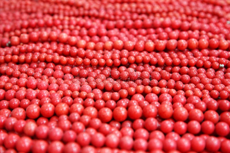 Red beads stock photo. Image of market, necklace, stack - 12140430