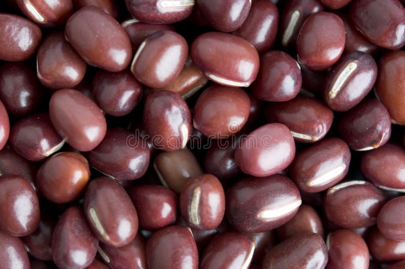 Red bean stock photo. Image of stack, potential, grow - 27333256