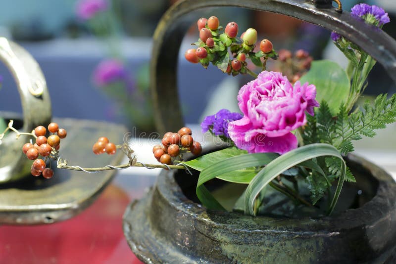 Red bean bonsai stock image. Image of chinese, unique - 54137109
