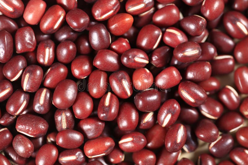 Red bean stock image. Image of agriculture, nutrition - 177289125