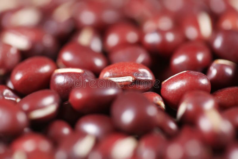 Red bean stock photo. Image of uncooked, brown, protein - 177289176