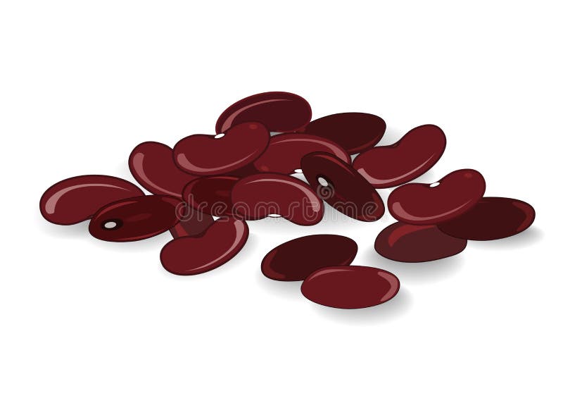 Bean Kidney Red Stock Illustrations – 786 Bean Kidney Red Stock ...