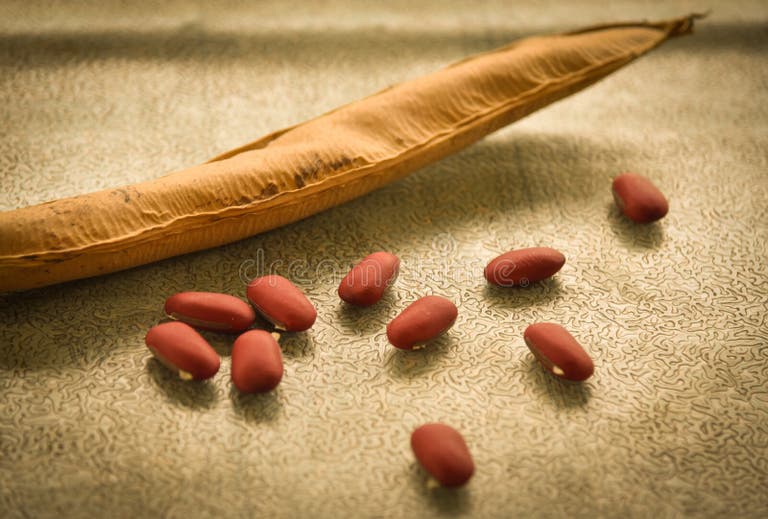 Red bean Pea stock photo. Image of nutrition, dietary - 96167716