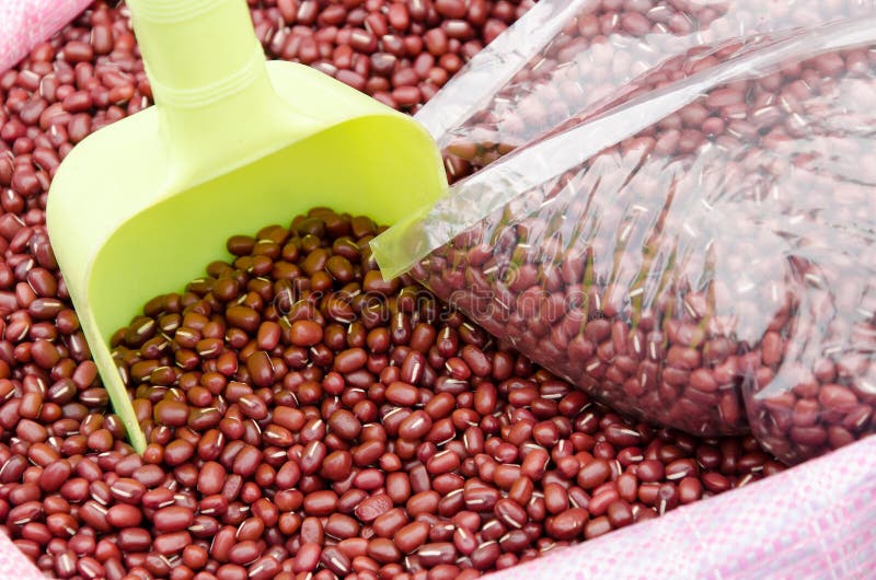 Red bean stock photo. Image of legume, kidney, color - 33193108