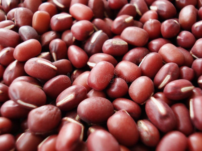 Red Bean Texture stock photo. Image of harvest, agriculture - 16404080