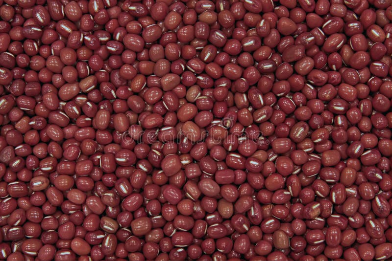 Red Beans stock photo. Image of protein, dietary, cooking - 14455408