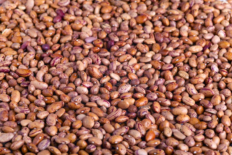 Red beans stock photo. Image of heap, uncooked, seed - 27493076