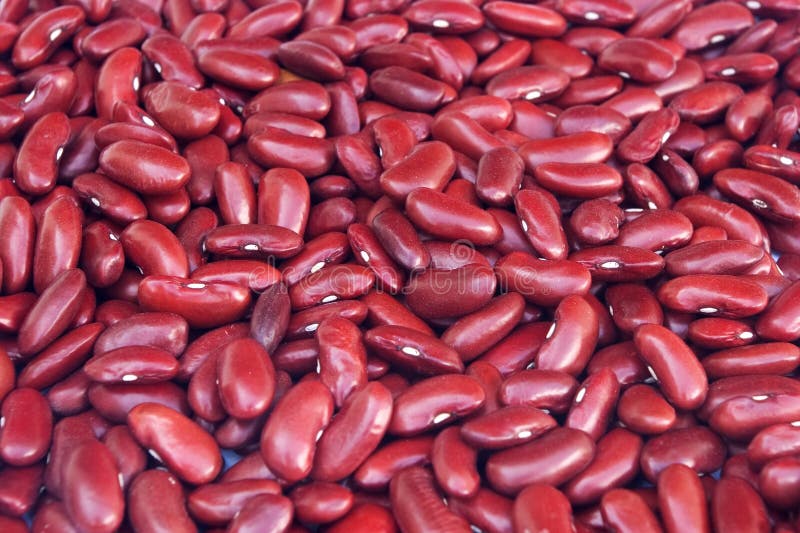 Red Kidney Beans stock image. Image of beans, vegetarian - 345003