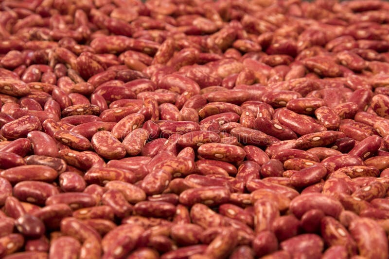 Red beans stock photo. Image of eating, healthy, crop - 3863880