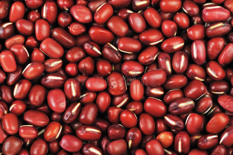 Red beans stock image. Image of harvest, sack, breakfast - 8065981