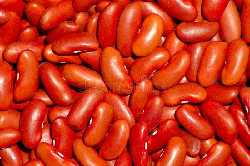 Red beans stock photo. Image of soups, beans, legumes, legume - 94720