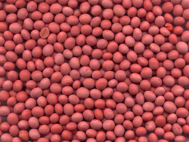 Red beans stock image. Image of healthy, cram, crimson - 9990439