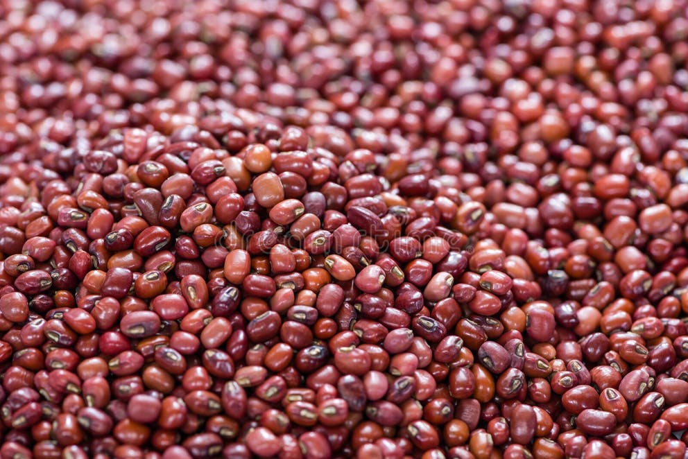Red Beans Background stock photo. Image of grain, bean - 58053966