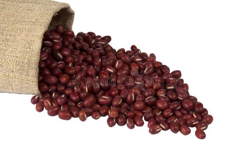 Red Beans in a Bag Isolated on White Stock Photo - Image of plant ...