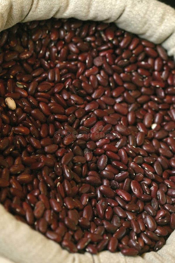 Haricot rouge stock image. Image of restaurant, starchy - 170505189