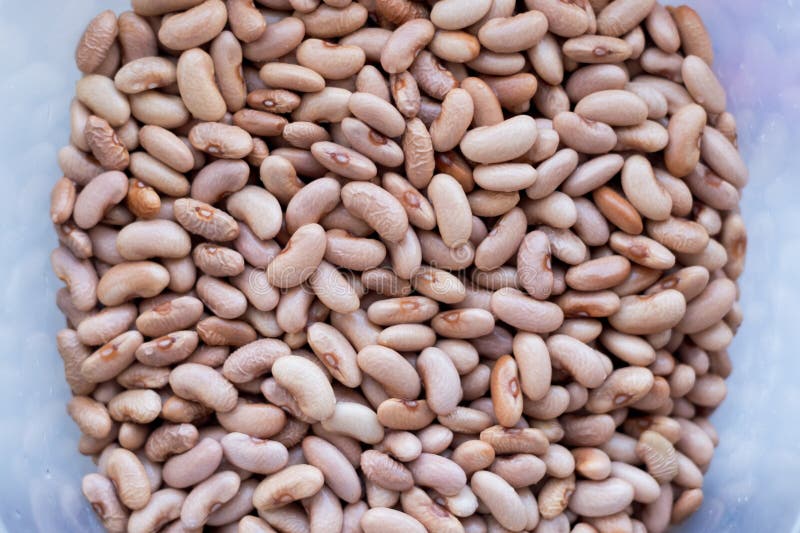Red Beans. Red Beans in a Container Stock Photo - Image of vegetarian ...