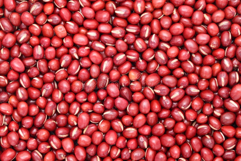 Red beans stock photo. Image of japan, food, natural - 32428722
