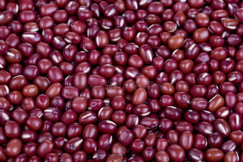 Red Beans stock photo. Image of legumes, cereals, nutrition - 77915420