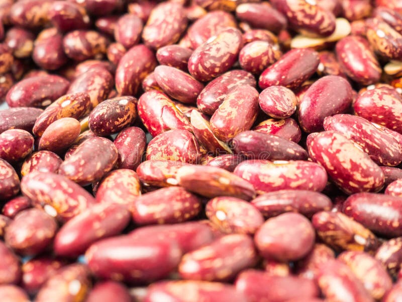 Red beans stock photo. Image of pinto, nutritious, healthy - 239993736