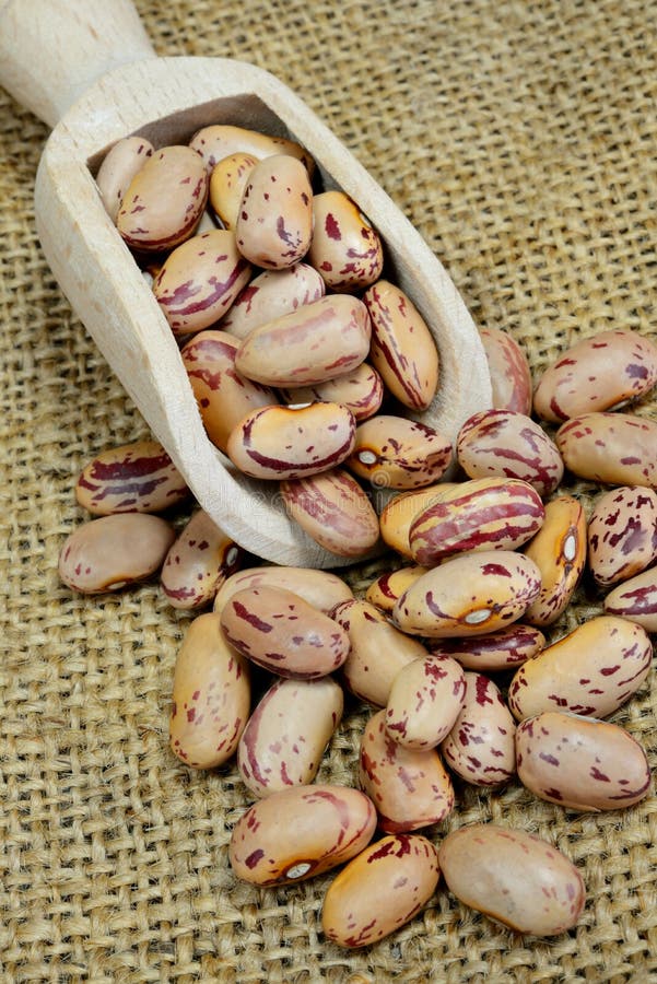 Red beans stock photo. Image of bean, vegetable, protein - 35091010
